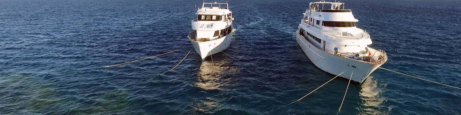 Our Fleet | Red Sea Explorers