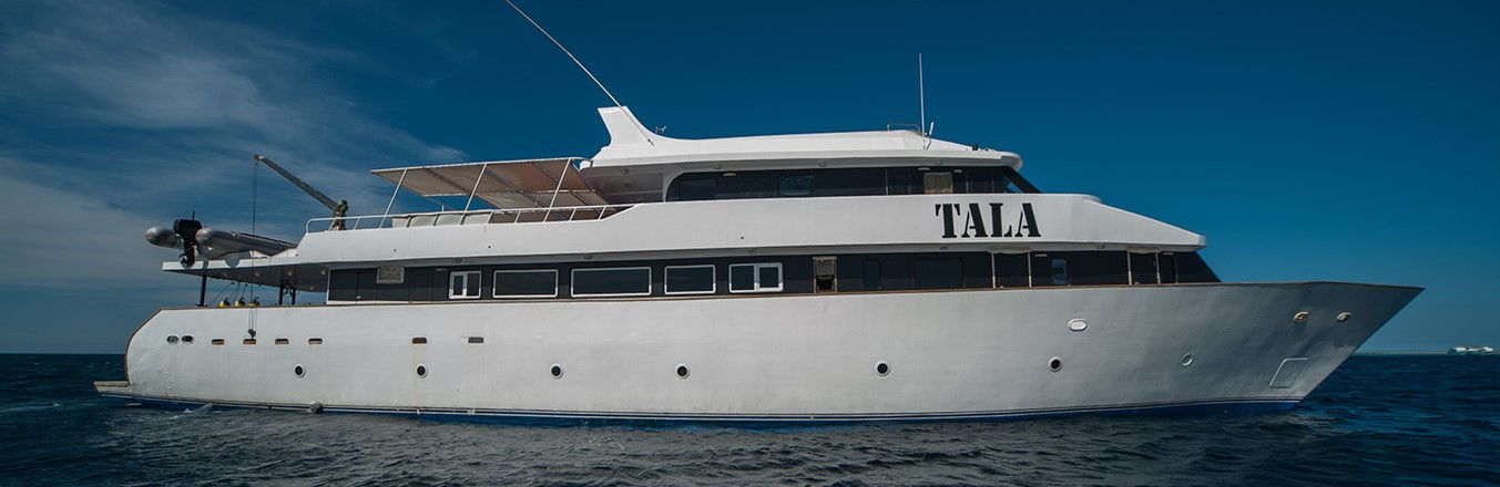 MV Tala | Red Sea Explorers