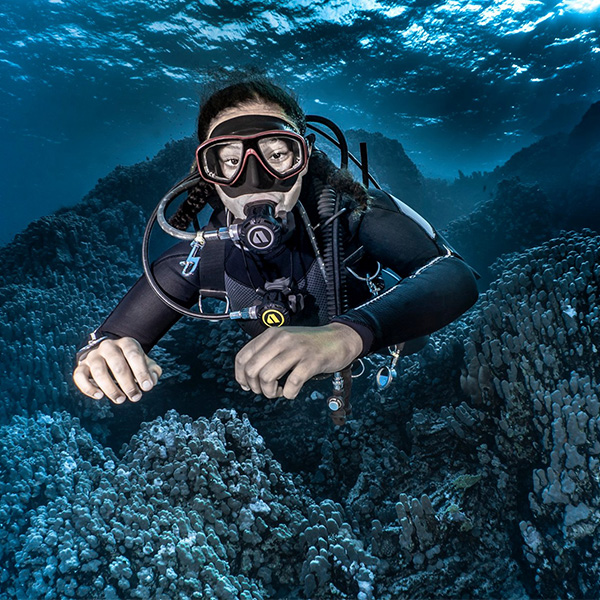 About Us | Red Sea Explorers